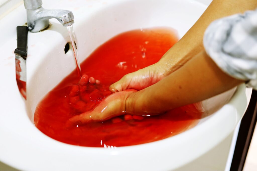 Trauma Scene Cleanup: What You Should Do After A Death in Your Home ...