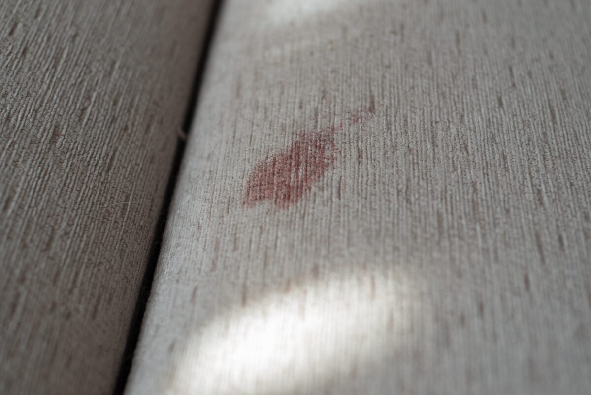 How to Get Dried Blood Out of Clothes: A Comprehensive Guide - The ...