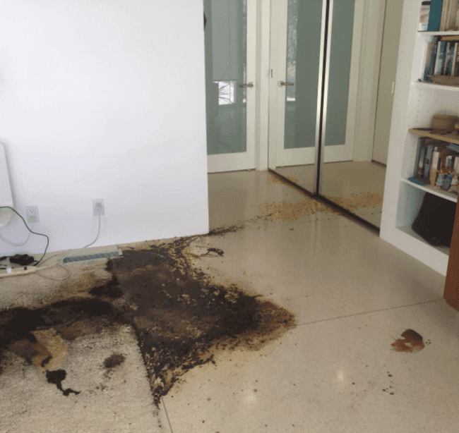 Decomp Cleanup | Professional & Caring | The Bioclean Team